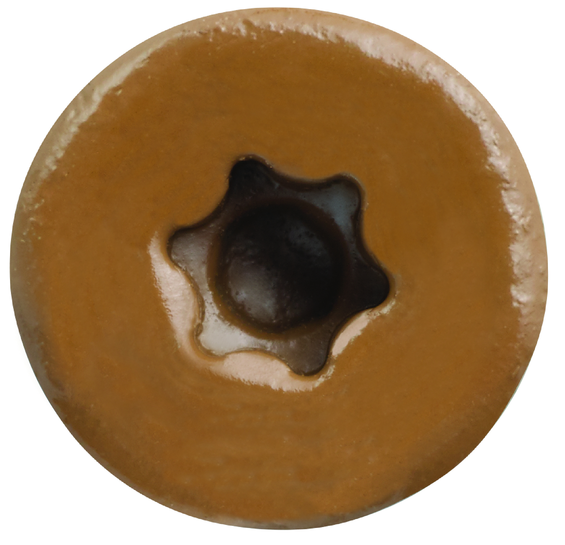 TrapEase Fascia: Color Matched Fascia Board Fastener | FastenMaster