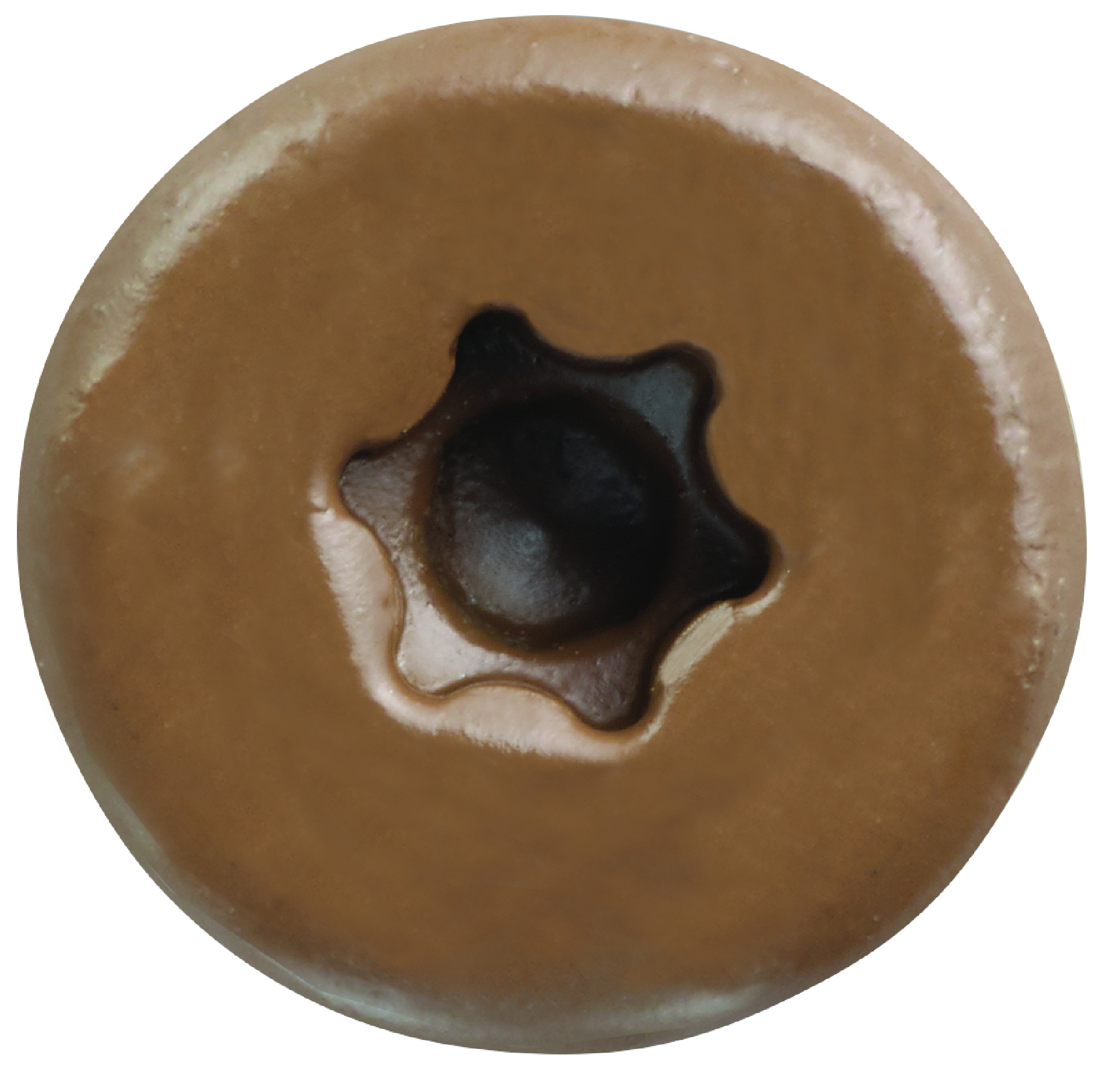 TrapEase Fascia: Color Matched Fascia Board Fastener | FastenMaster